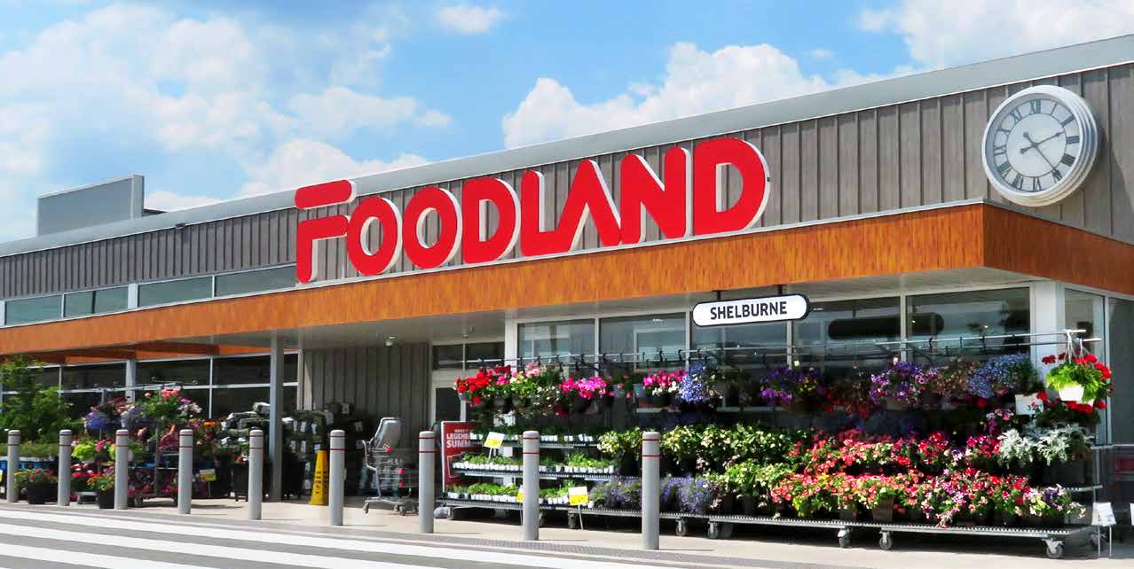 Foodland - Fish Agency